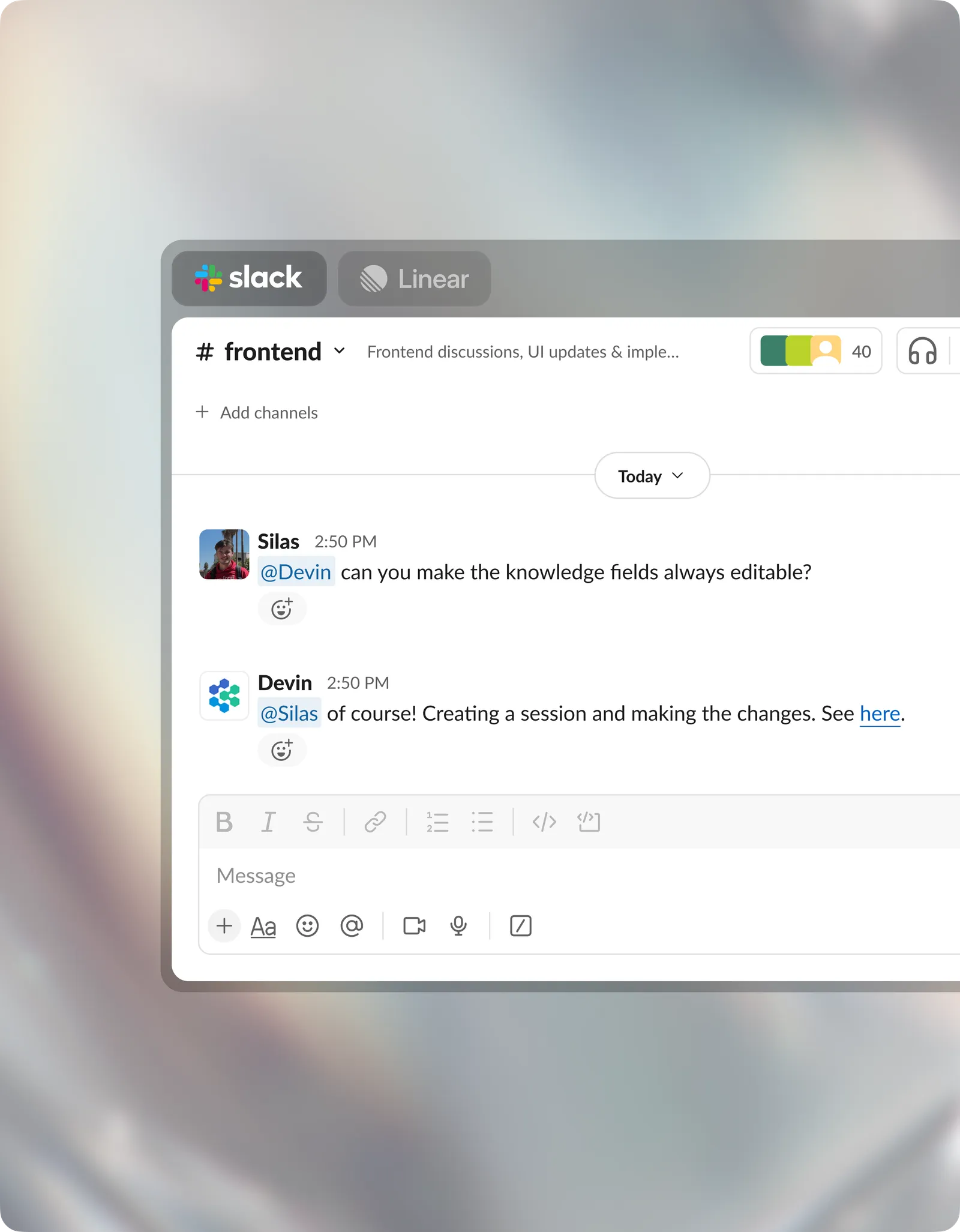 Devin (the Developer)